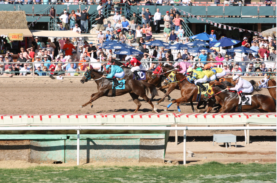 Quarantine in place at Turf Paradise to contain equine herpes virus ...