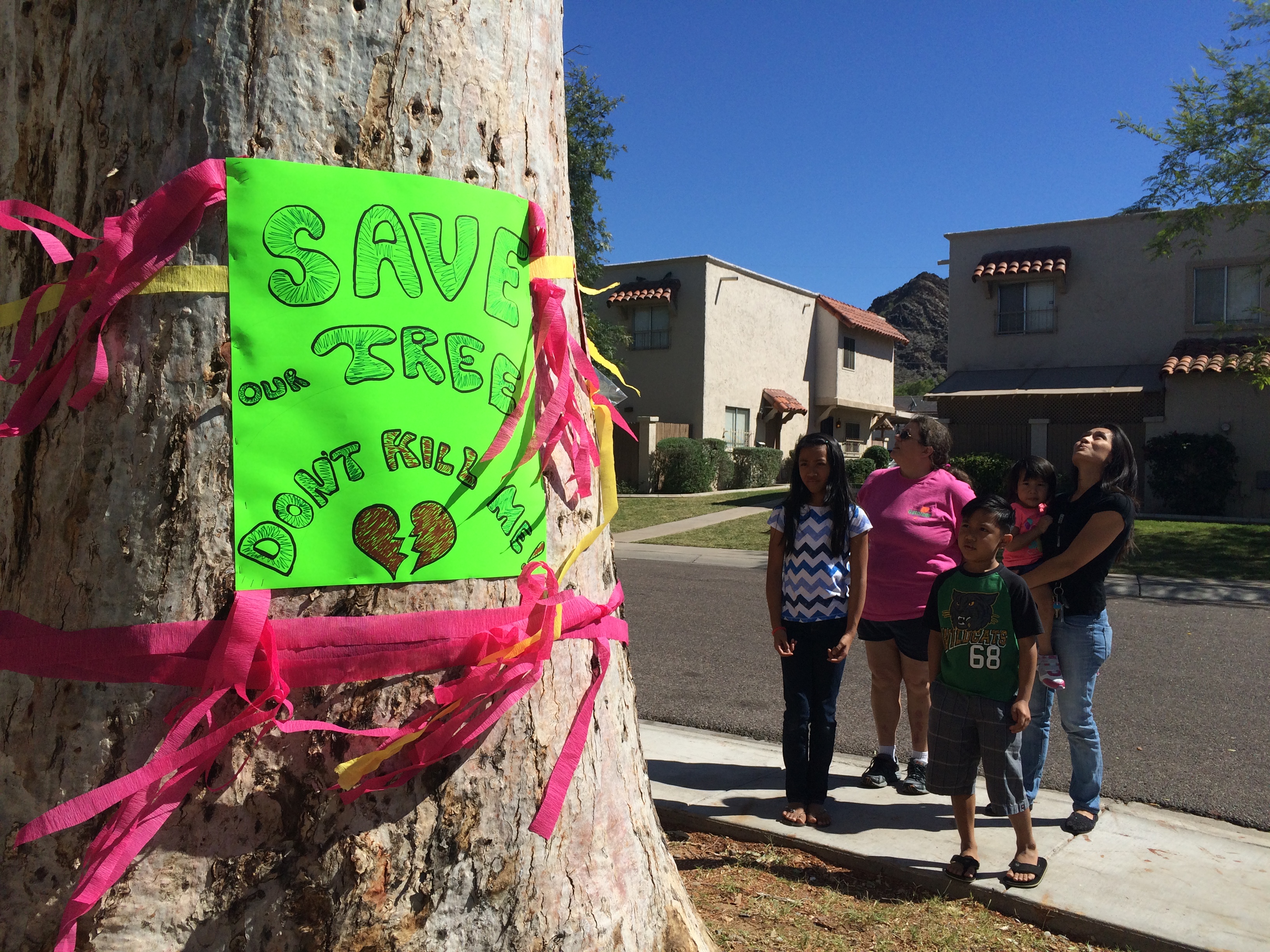 Neighbors battle HOA to save tree | 12news.com