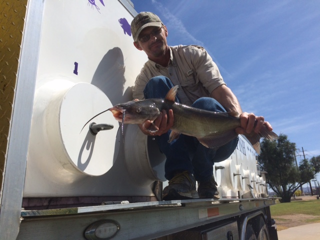 Phoenix, Tucson lakes and ponds restocked for summer fishing | 12news.com