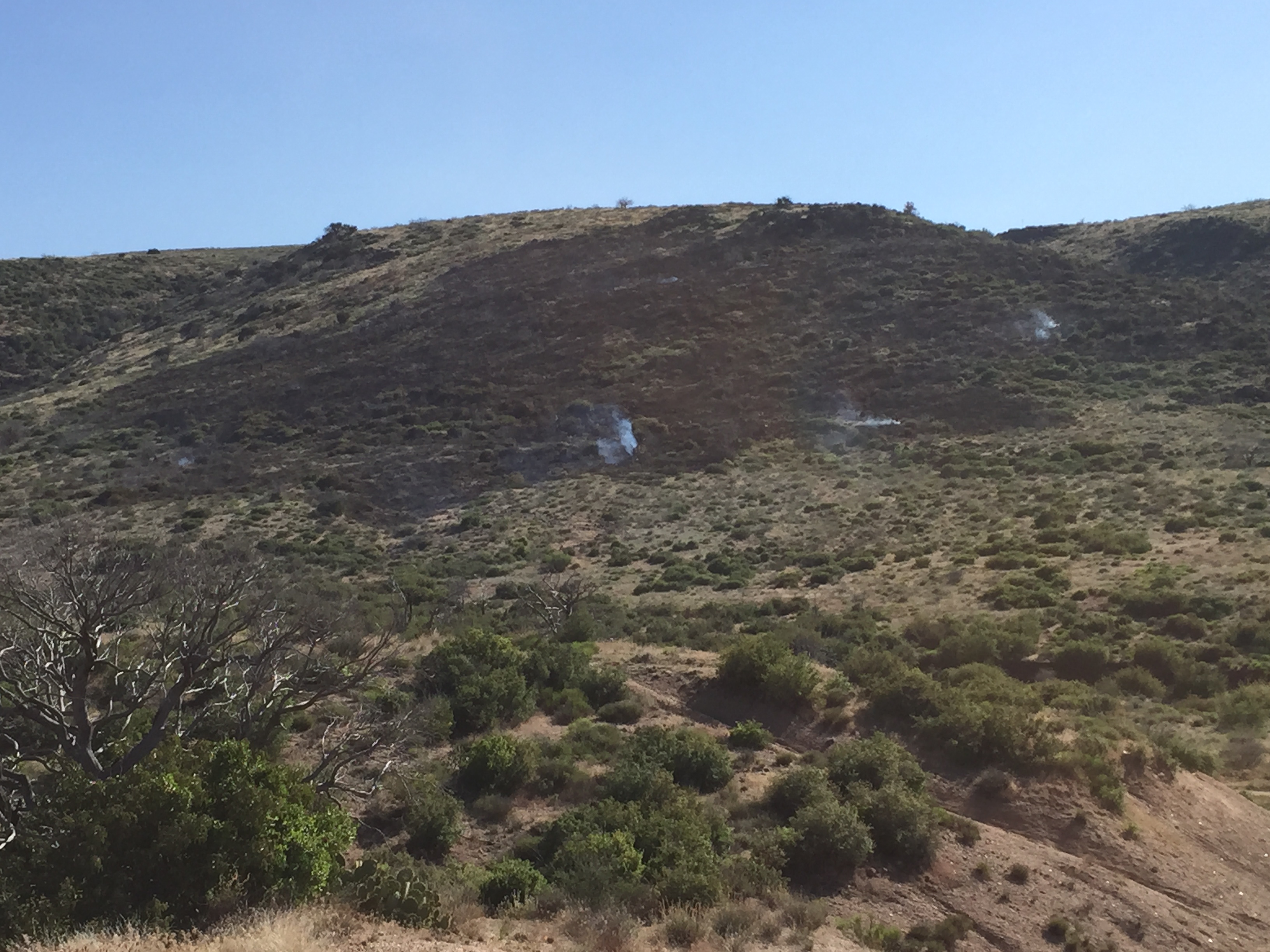 Crews battle Bronco Fire at Tonto National Forest | 12news.com