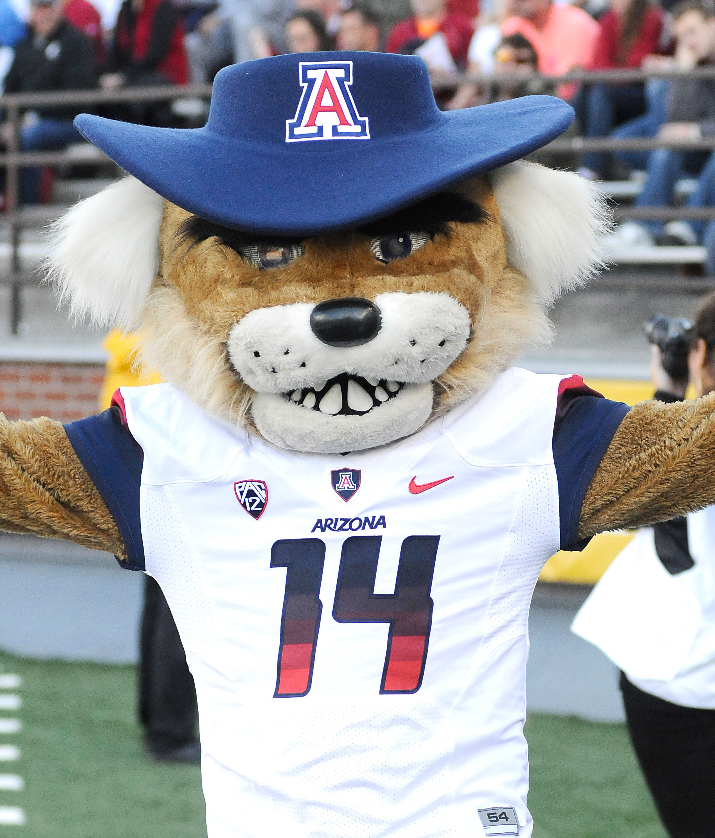 Arizona tabs Jay Johnson as new baseball coach | 12news.com