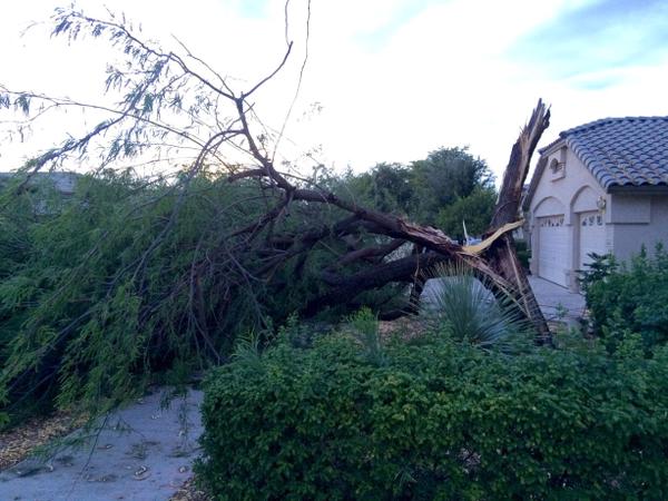 Damage caused by microburst in Goodyear | 12news.com