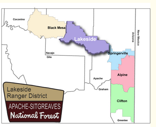 Fall prescribed burn planned on Lakeside Ranger District | 12news.com