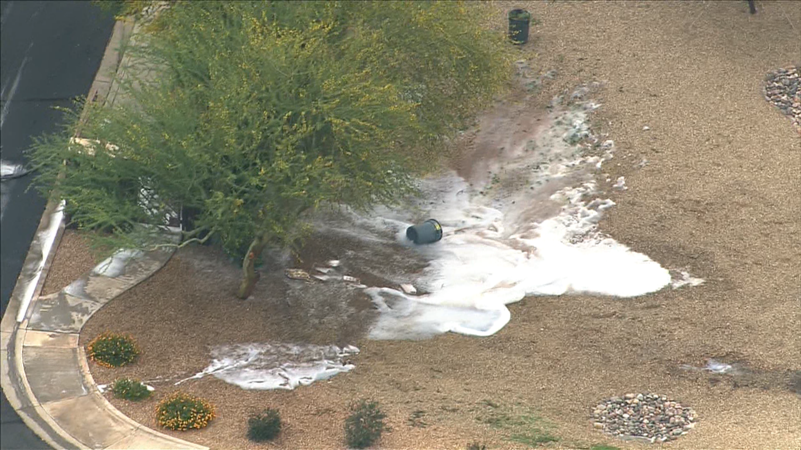 Exclusive: Peoria firefighters speak about helping save bee attack ...