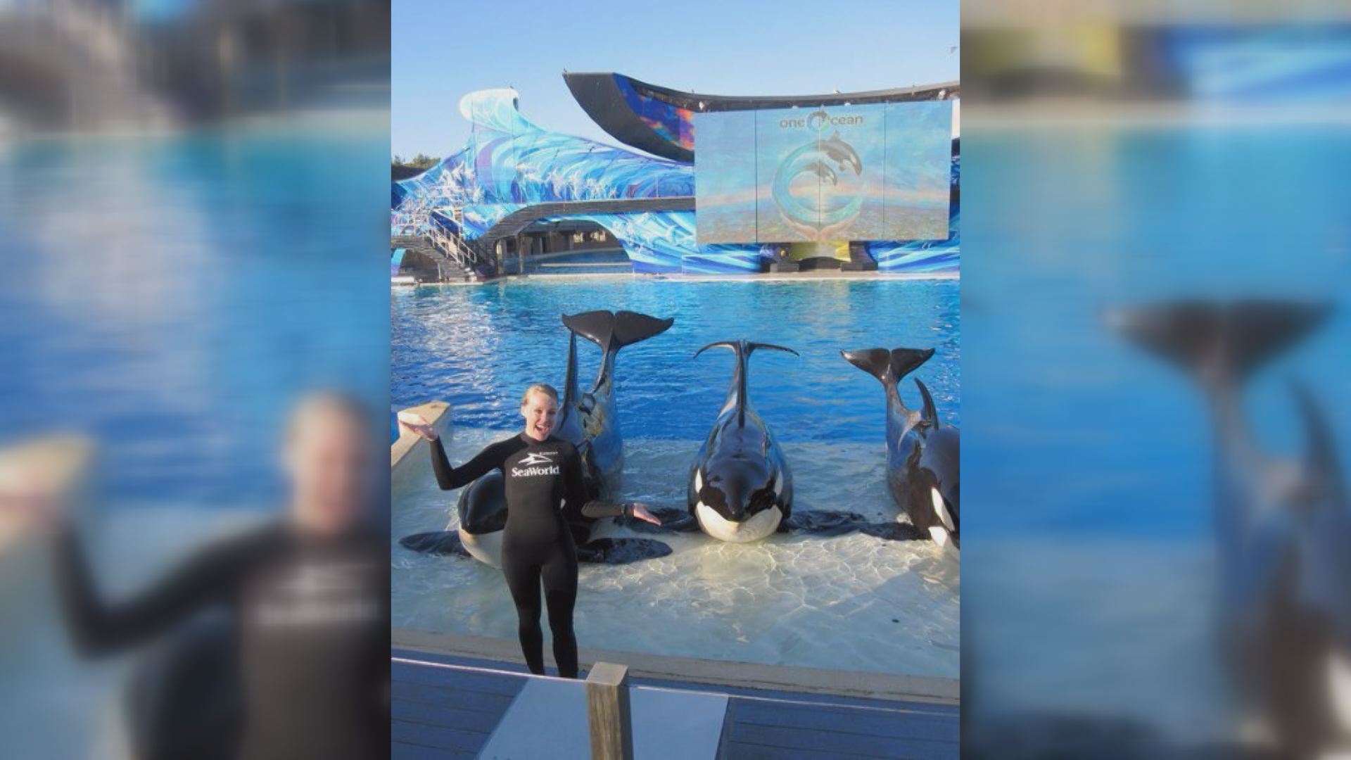 Valley man connection on SeaWorld San Diego plans to phase out killer ...