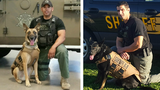 2 Maricopa County Sheriff's Office K9 officers get protective vests ...