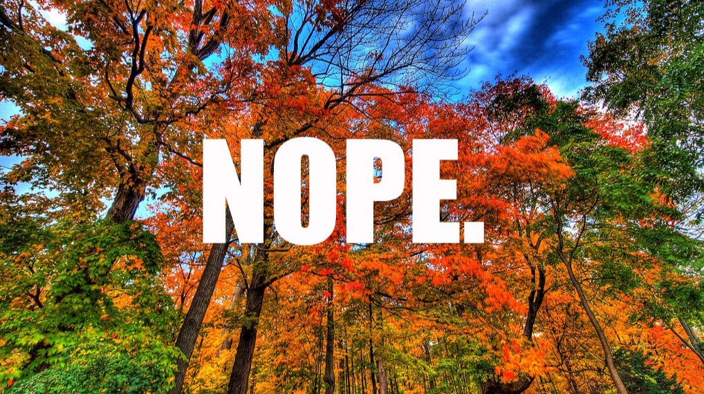 Here are 10 ways you know it's fall in Phoenix | 12news.com