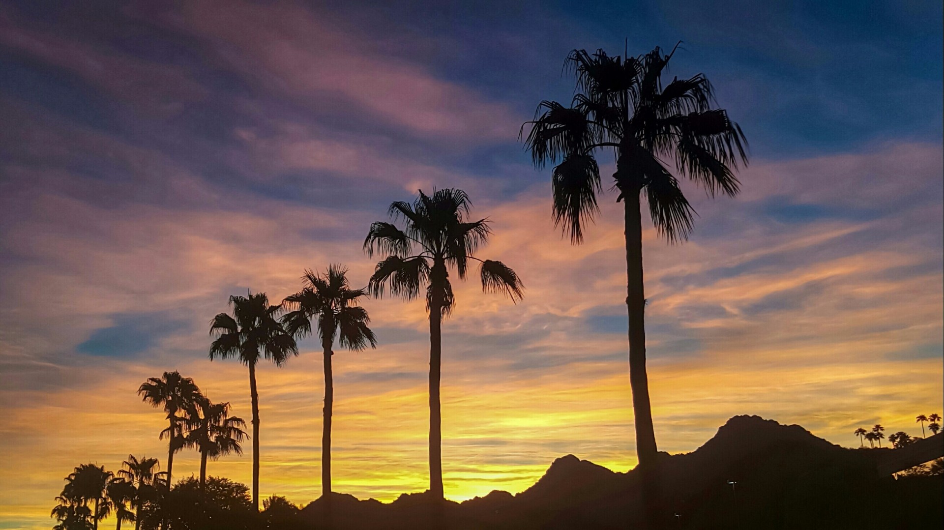 Here are some spring things to do in Phoenix while the weather's just ...