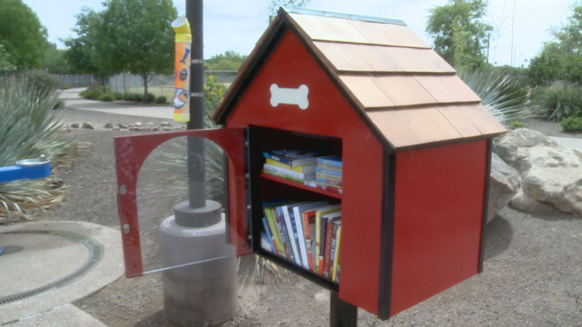 Tiny dog-themed library in Scottsdale makes it easy to get new books ...