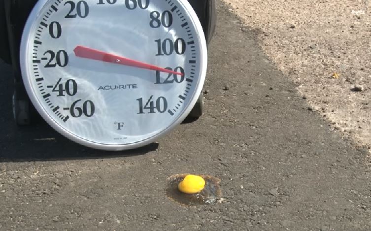 Can an egg really cook on asphalt in extreme Arizona temps? | king5.com