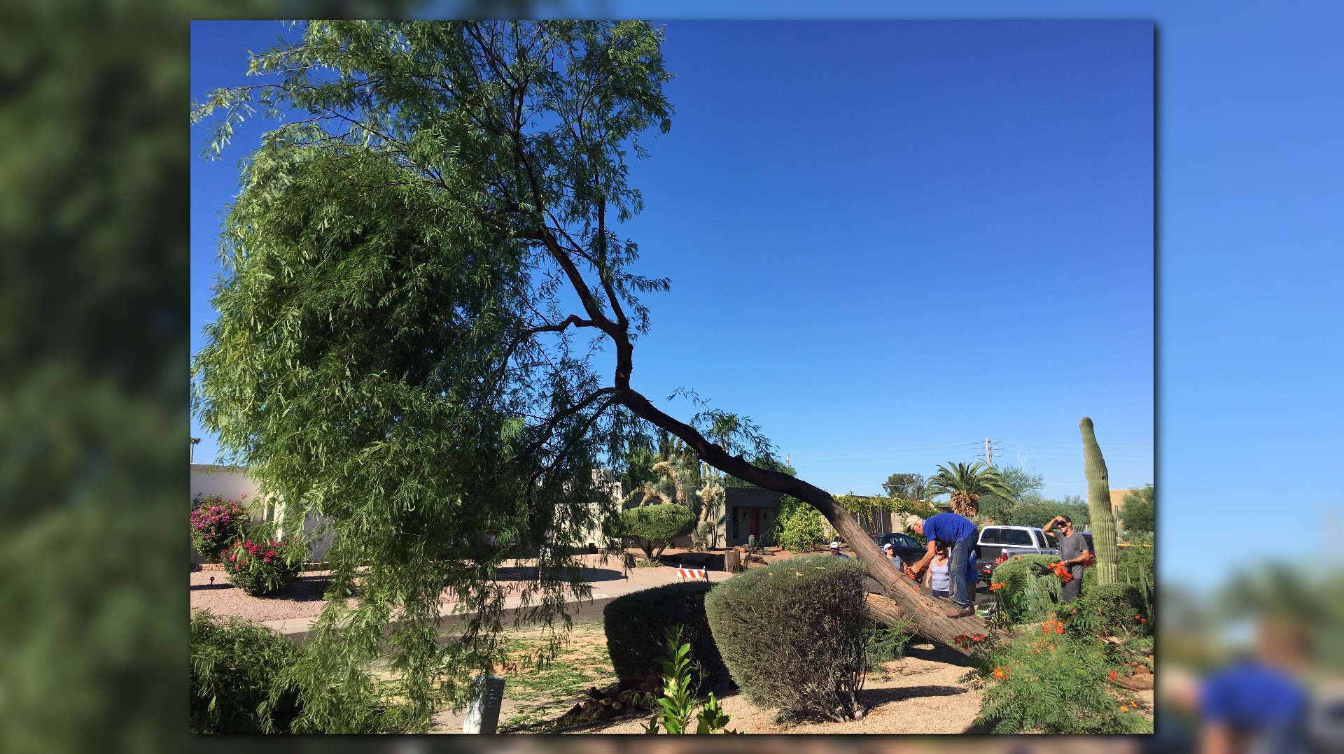 'It's a mess': Microburst downs power poles, knocks out power in north ...